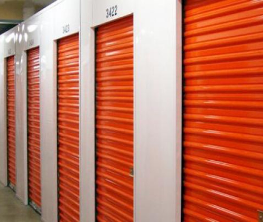 April 2019 Blogs | Defense Pest Control