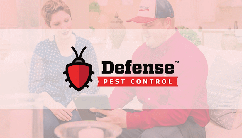 Packages | Pest Control Services in Mesa