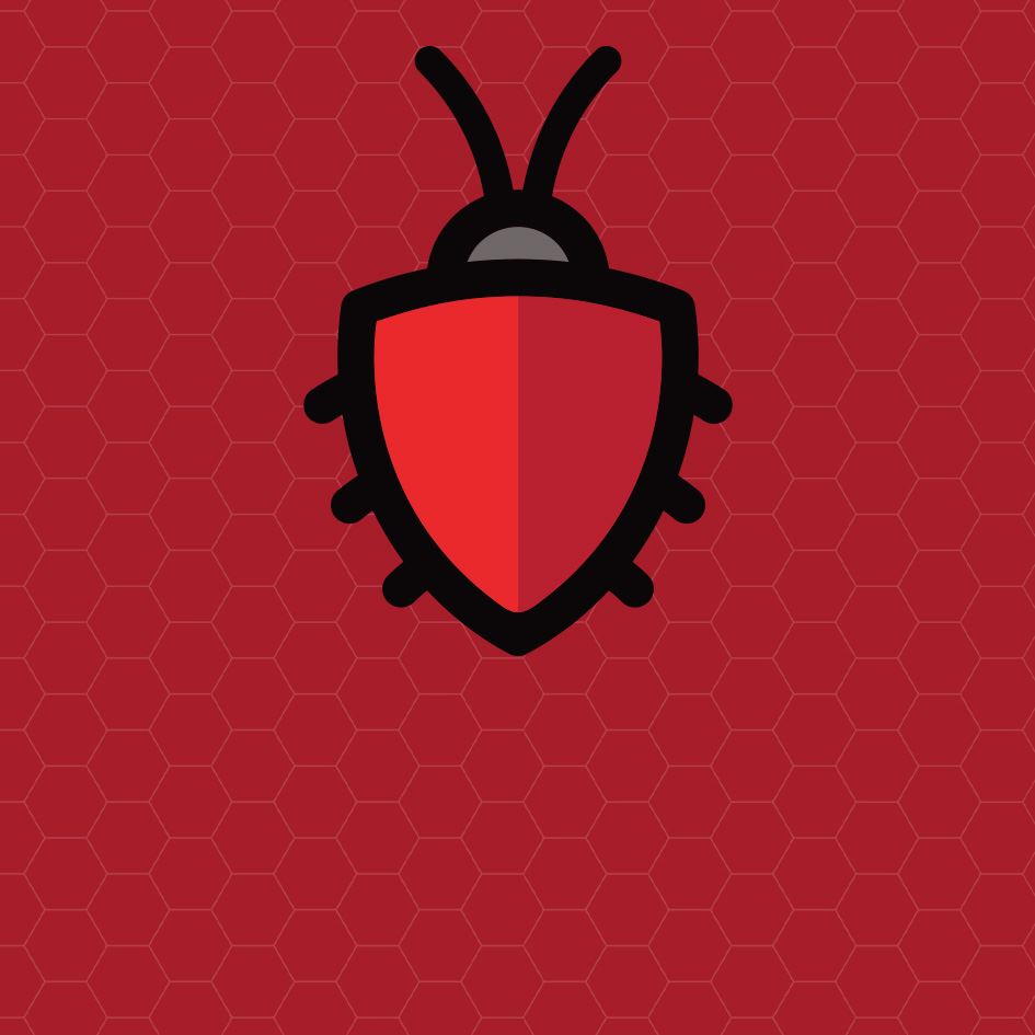 How to Spot the Signs of a Spider Infestation in Your Yard | Defense ...