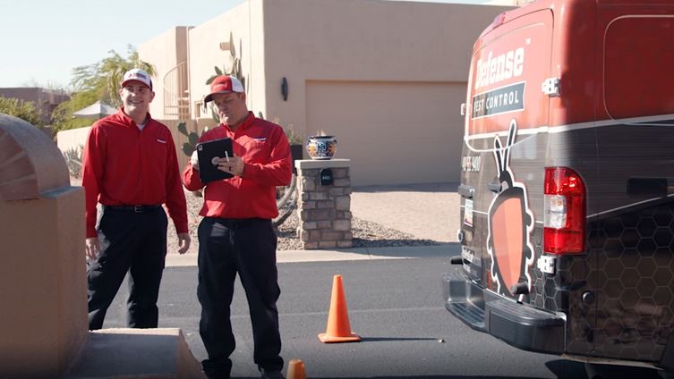 About Defense Pest Control | Mesa Pest Control